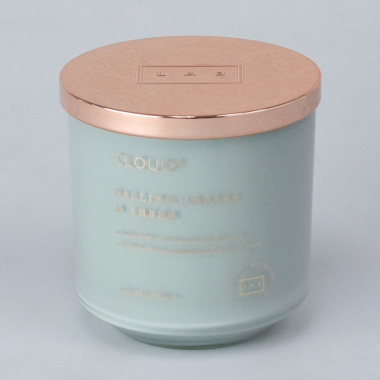 Falling Leaves & Amber – LAB Candles