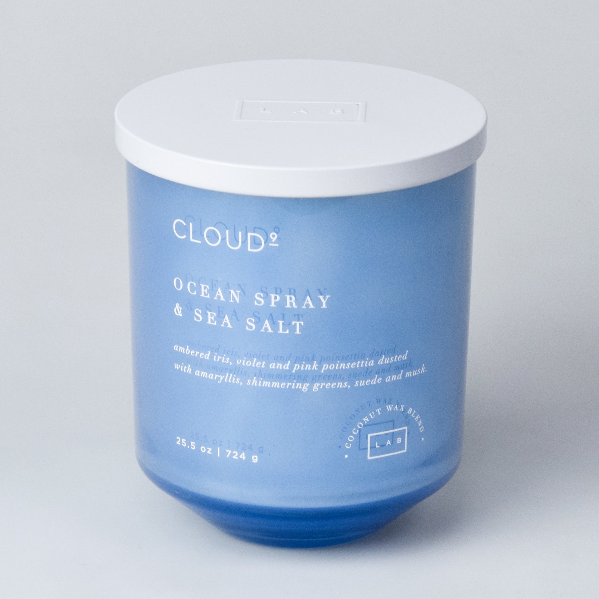 Ocean Spray & Sea Salt – LAB Candles